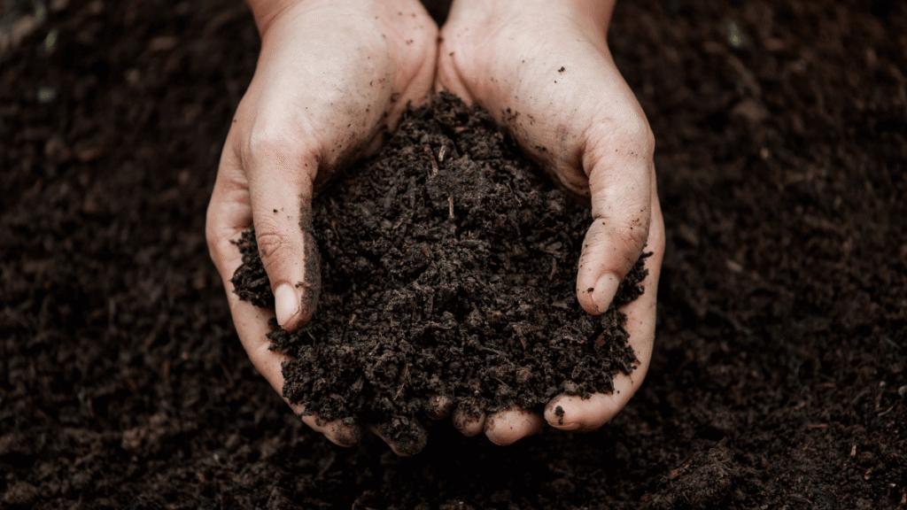 Impact Of Soil Erosion On Agriculture – The Agrotech Daily
