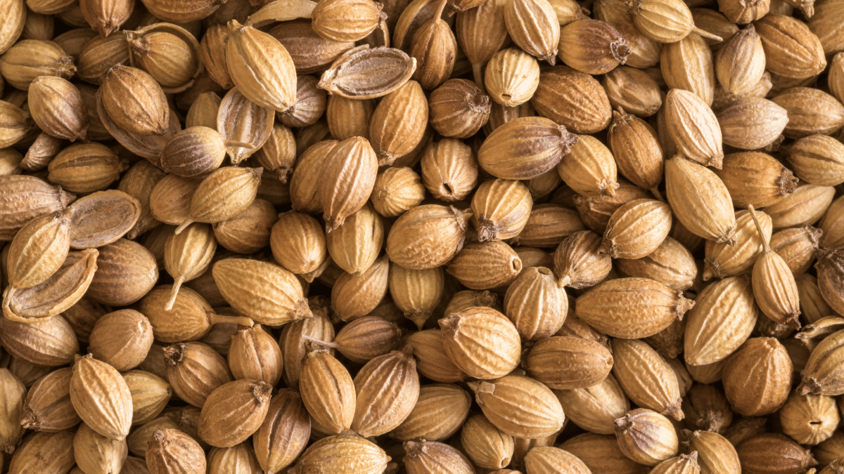 Seed Development In India – The Agrotech Daily
