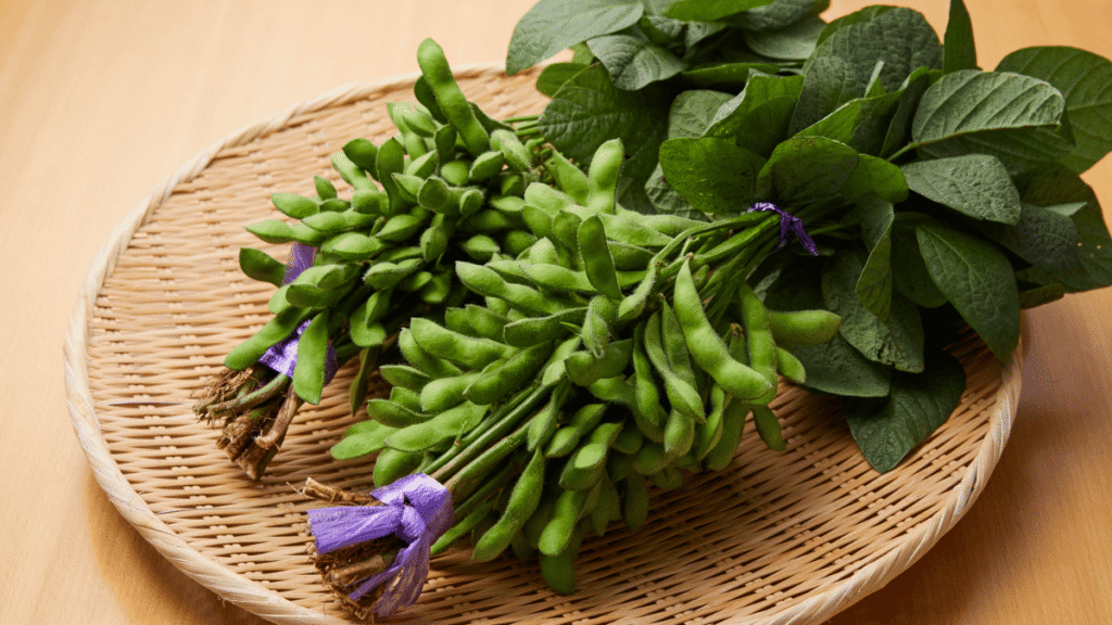 Soybean Production In India – The Agrotech Daily