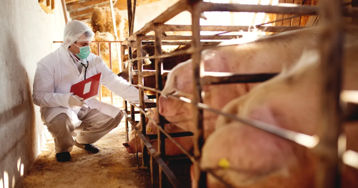 Biosecurity And Its Key Planning – The Agrotech Daily