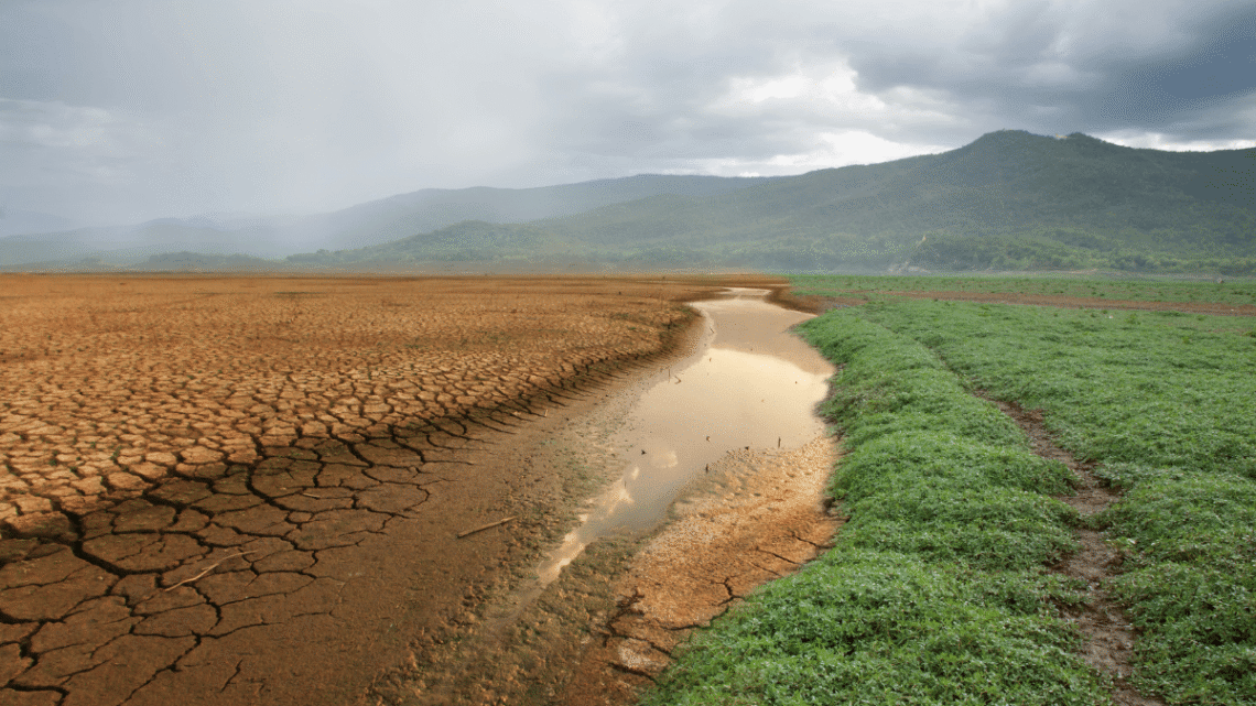 4 reasons that are Impacting Soil health and Climate change for the ...