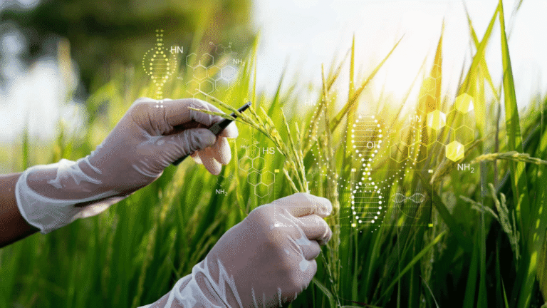 New Plant Breeding Technologies for Improving Crop Productivity and ...