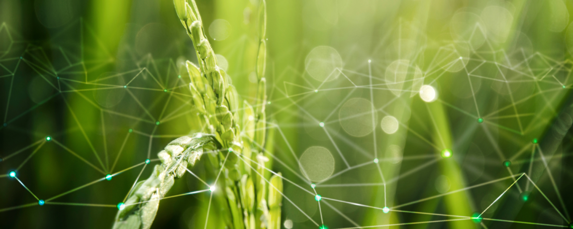 Ag-tech and the digital transformation of rural areas - The Agrotech Daily