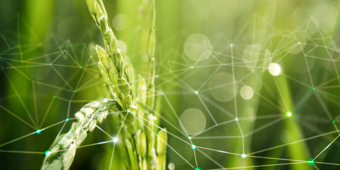 Ag-tech and the digital transformation of rural areas – The Agrotech Daily
