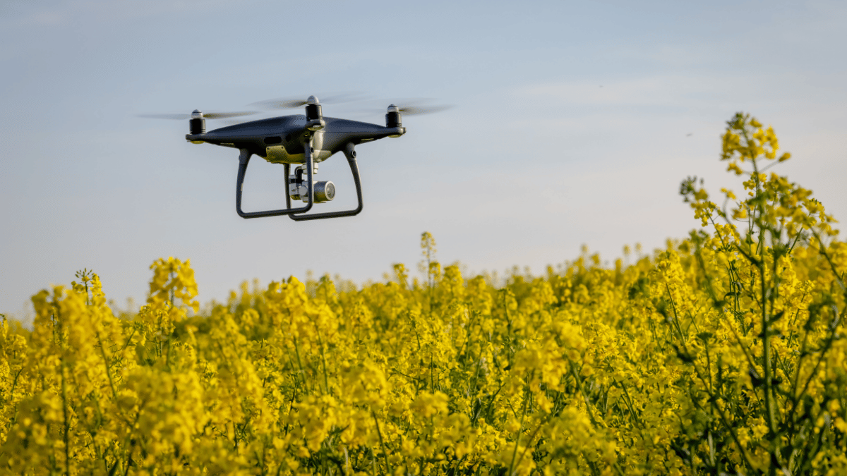 Drones for Crop Monitoring and Management – The Agrotech Daily