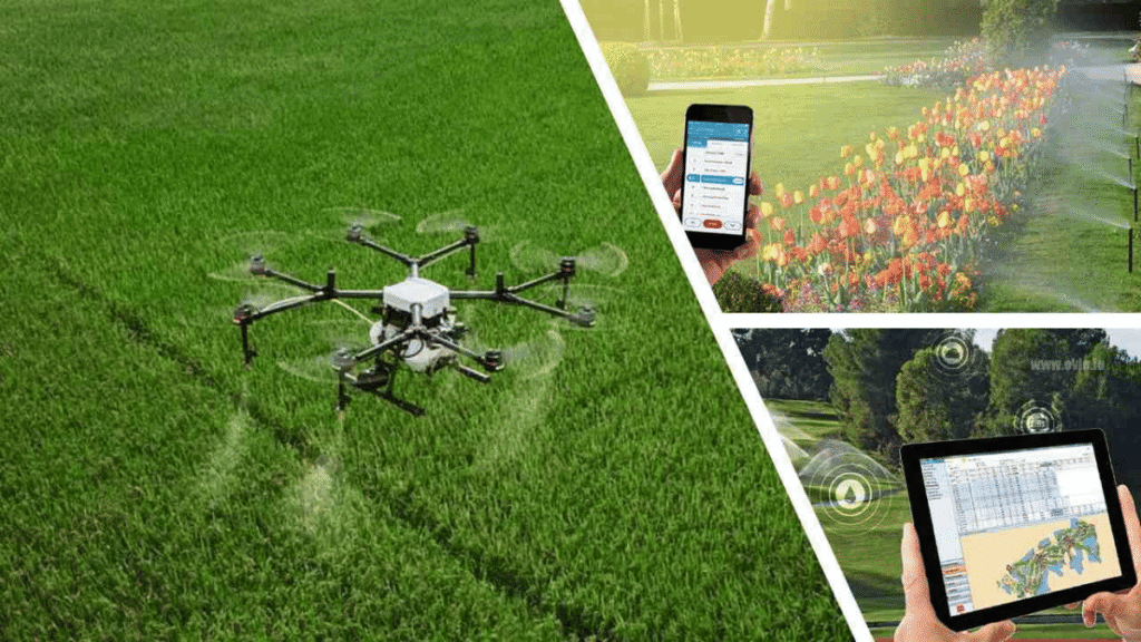 The impact of technology on crop yields and food security – The ...