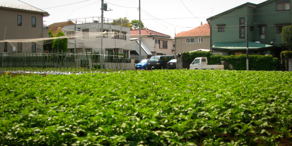 The impact of urbanization on agriculture and rural communities – The ...