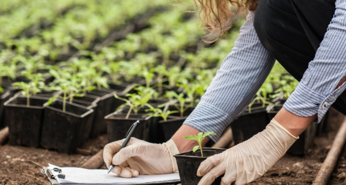 The Significance of Soil Health and Effective Techniques for ...