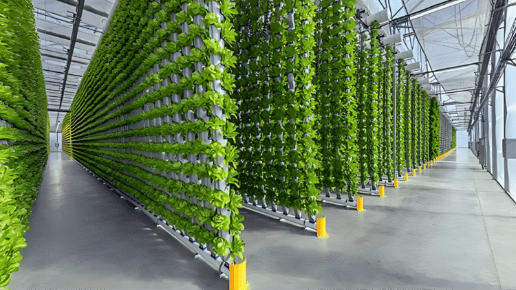 Vertical Farming: Advantages, Challenges, and Urban Crop Cultivation ...