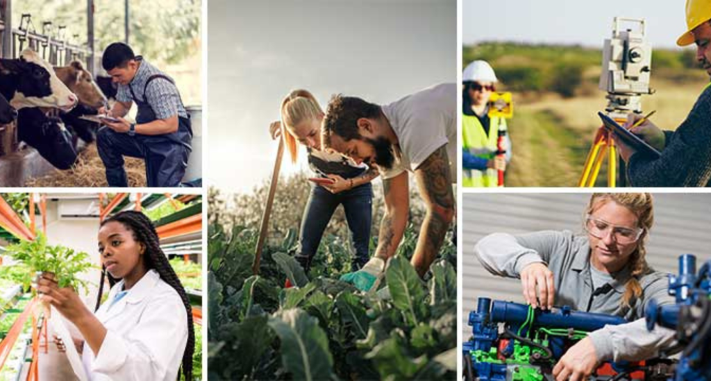 Outstanding Colleges for Agriculture in India: Nurturing the Seeds of ...