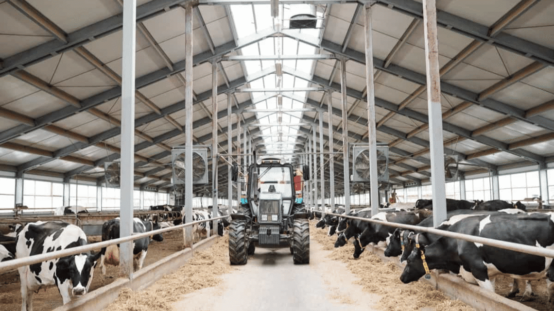 Indian Dairy Products: Unveiling the Rich Dairy Heritage of India – The Agrotech Daily